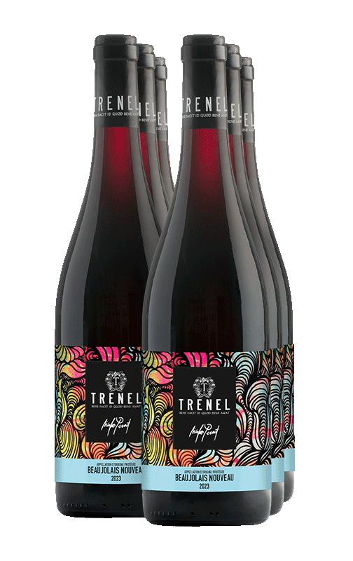 Comprar Trénel Beaujolais Nouveau 2023 (x6) | Bodeboca